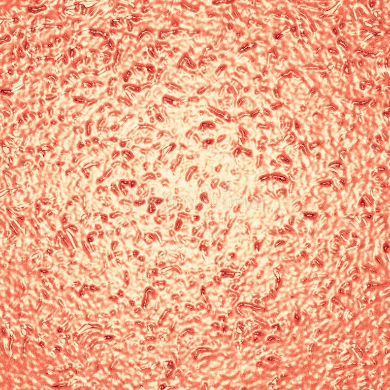 4,350 Texture Surgery Oyster Stock Photos - Free & Royalty-Free Stock ...