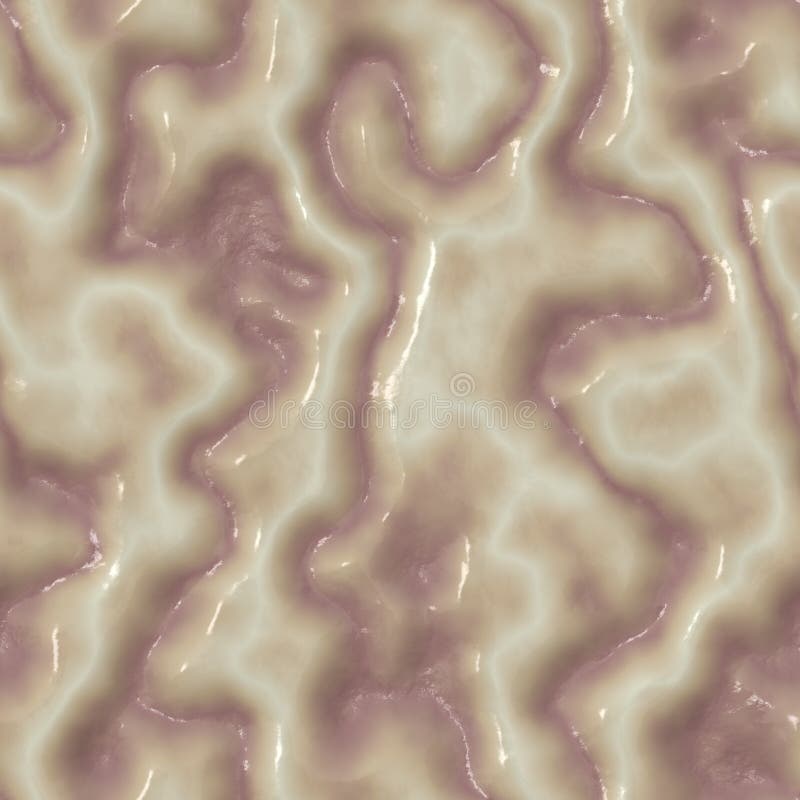 Brain Texture stock photo. Image of cerebrum, closeup - 29121112