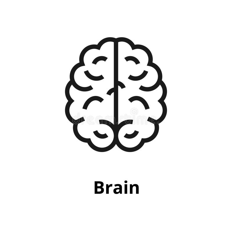 Brain Thin Line Icon. Human Mind or Intelligence Symbol Outline Style ...