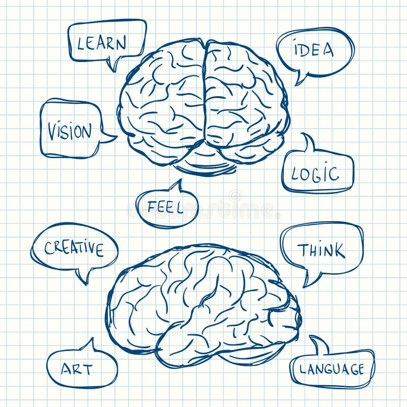 Brain with think bubbles stock vector. Illustration of intelligence ...