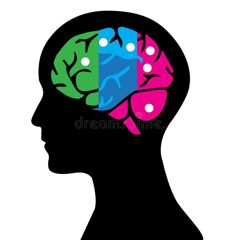 Brain Thinking Vector Info Graphic Stock Vector - Illustration of ...