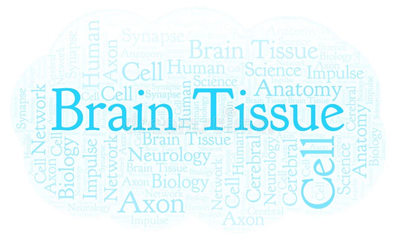 Brain Tissue word cloud. stock illustration. Illustration of poster ...
