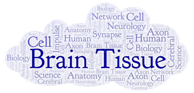 Brain Tissue word cloud. stock illustration. Illustration of colors ...