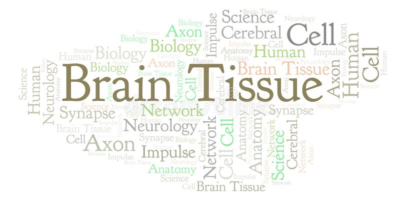 Brain Tissue word cloud. stock illustration. Illustration of print ...