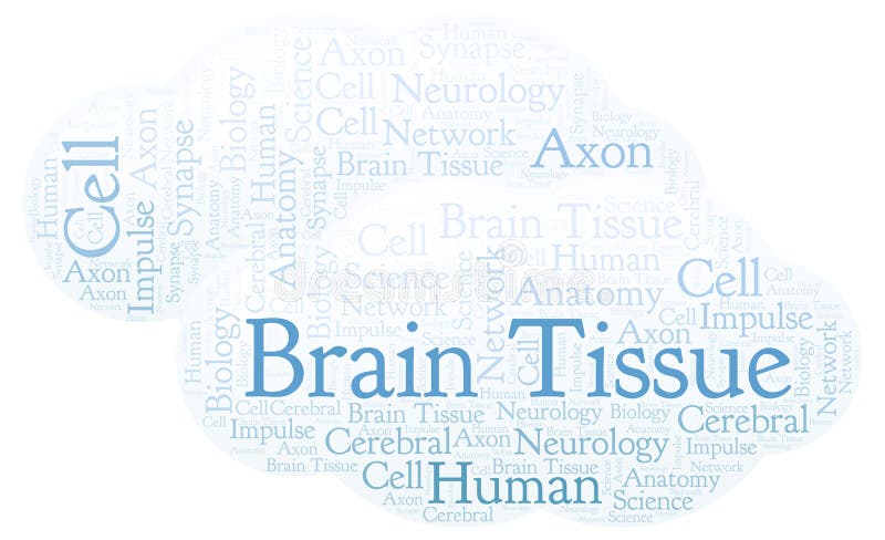 Brain Tissue word cloud. stock illustration. Illustration of brain ...