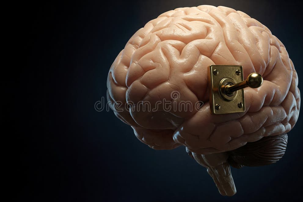 A Brain with a Toggle Switch, a Figurative Turn on of the Mind. Space ...