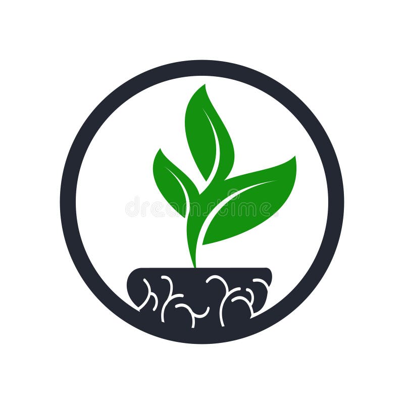 Brain Tree Grow Logo Design. Stock Vector - Illustration of ecology ...