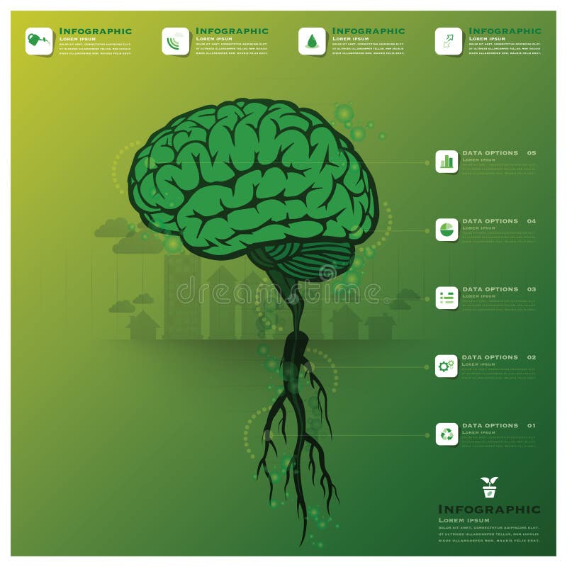 Brain Tree and Root Infographic Stock Vector - Illustration of brain ...