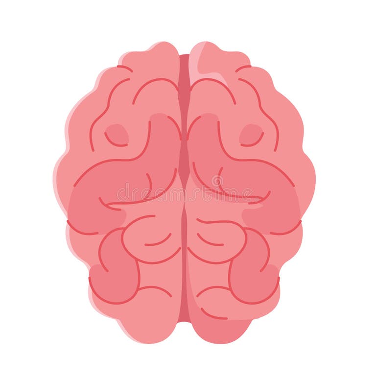 Brain Clip Art Stock Illustrations – 7,905 Brain Clip Art Stock ...