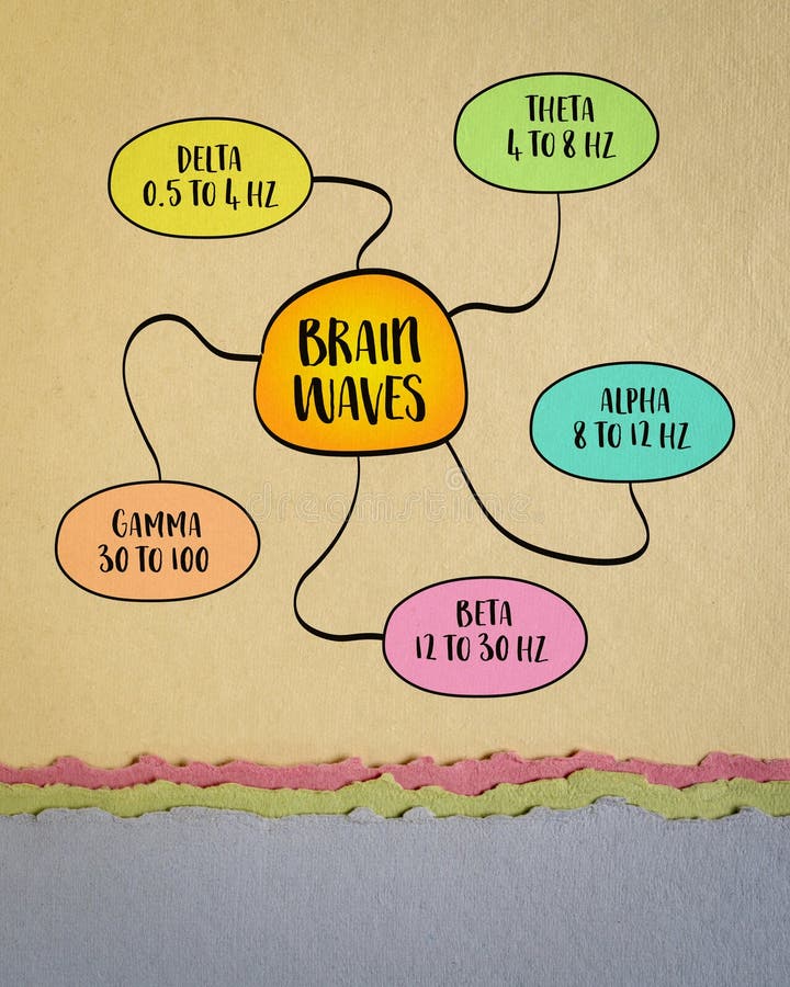 Brain Waves are Electrical Impulses in the Brain that Reflect Various ...