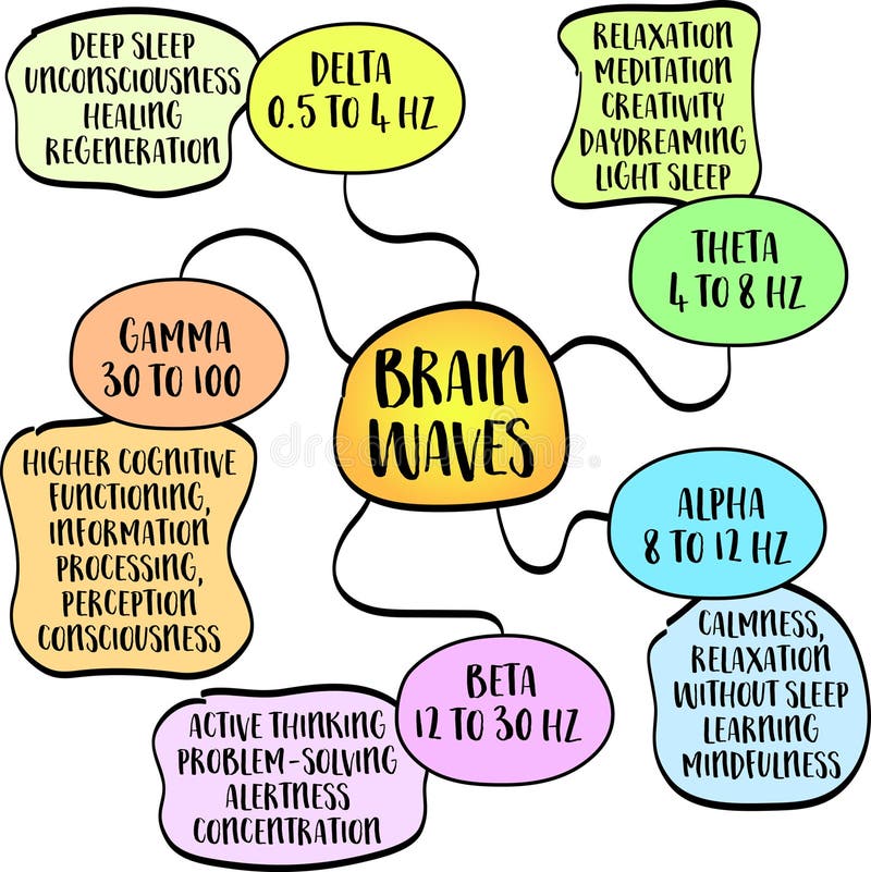 Brain Waves are Electrical Impulses in the Brain that Reflect Various ...