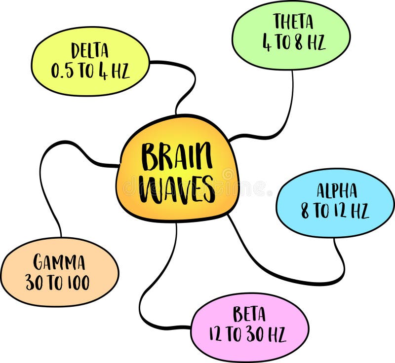 Brain Waves are Electrical Impulses in the Brain that Reflect Various ...