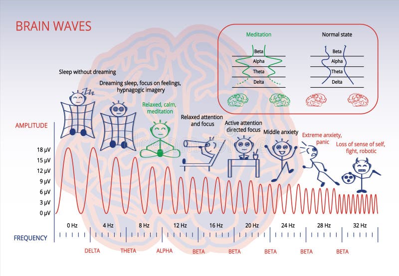 Brain waves stock illustration. Illustration of relax - 16995439