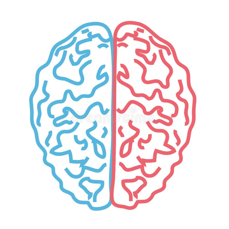 Brain Hemispheres. Vector Illustration For Scientific And Medical ...