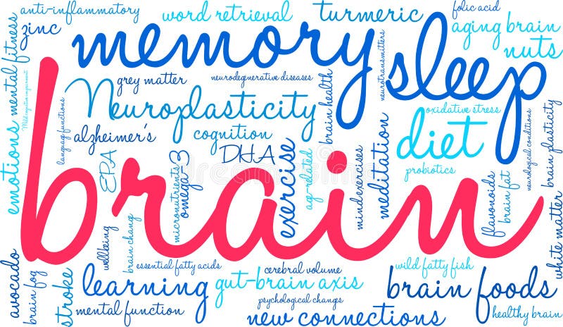 Brain Word Cloud stock de ilustración. Ilustración de cerebro - 103969843