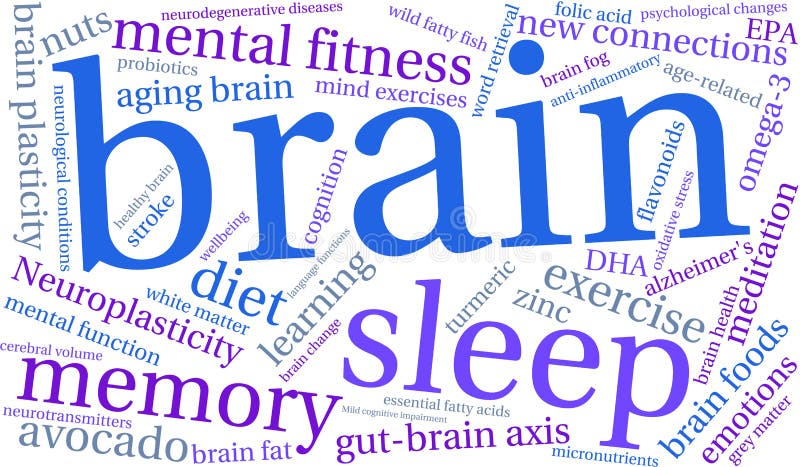 Brain Word Cloud illustration stock. Illustration du essentiel - 98662933