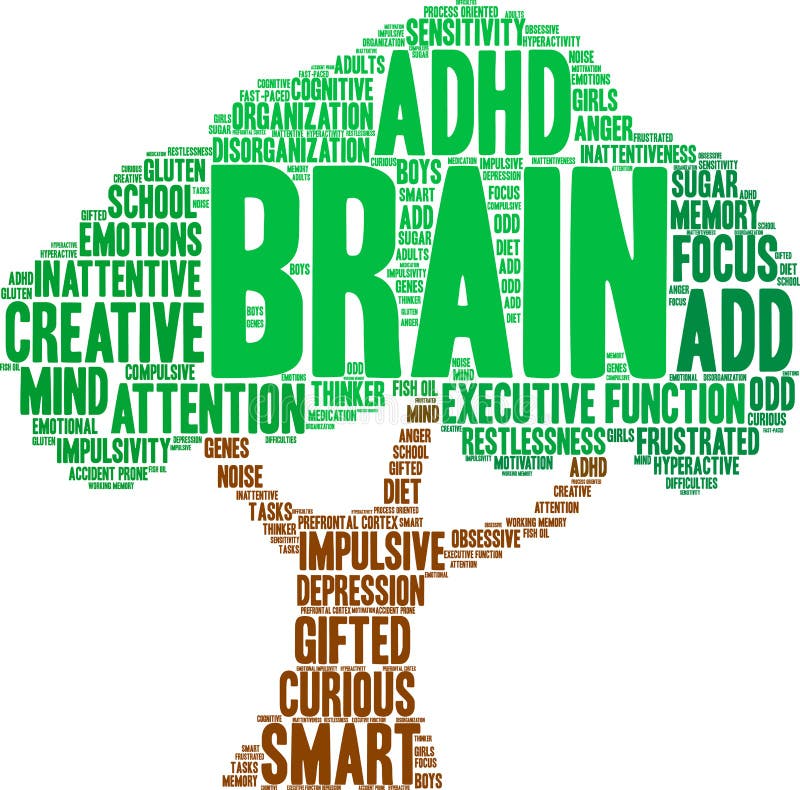 Growing Brain Clipart With Executive Function