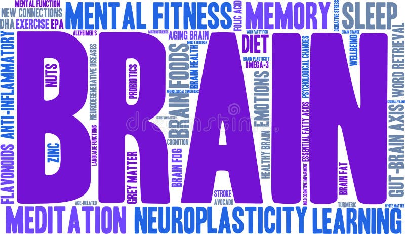 Brain Word Cloud stock vector. Illustration of brain - 99393616