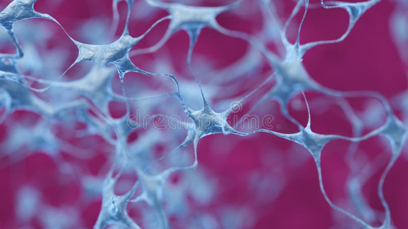 Nerve Cell Net Stock Illustrations – 488 Nerve Cell Net Stock ...