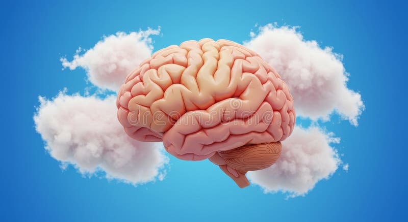 Brainpower in the Clouds a 3D Human Brain Floats Amidst Fluffy White ...