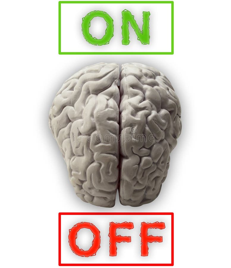 Brains stock illustration. Illustration of people, cortex - 11687618