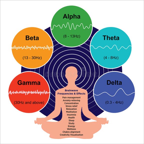Brainwave Frequencies and Effects Stock Vector - Illustration of delta ...