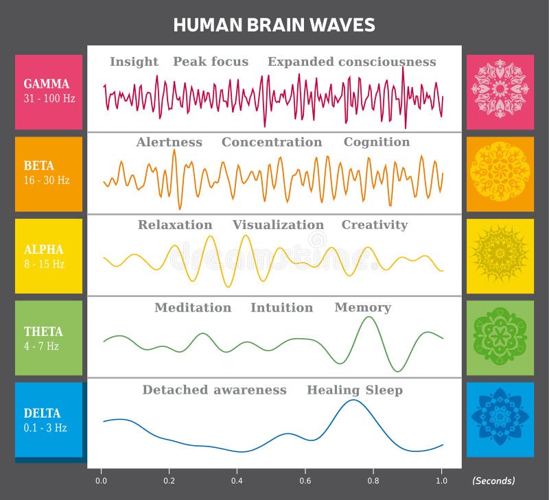 Alpha Beta Gamma Theta Delta Frequencies Stock Illustrations – 8 Alpha ...