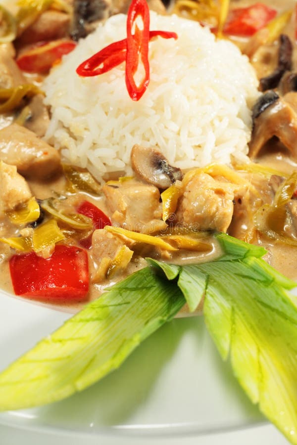 Braised Chicken Slice with Rice Heap Stock Photo - Image of high ...