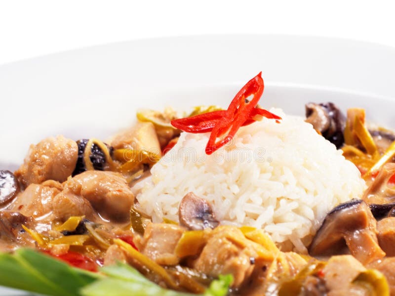 Braised Chicken Slice with Rice Heap Stock Image - Image of baked, meal ...