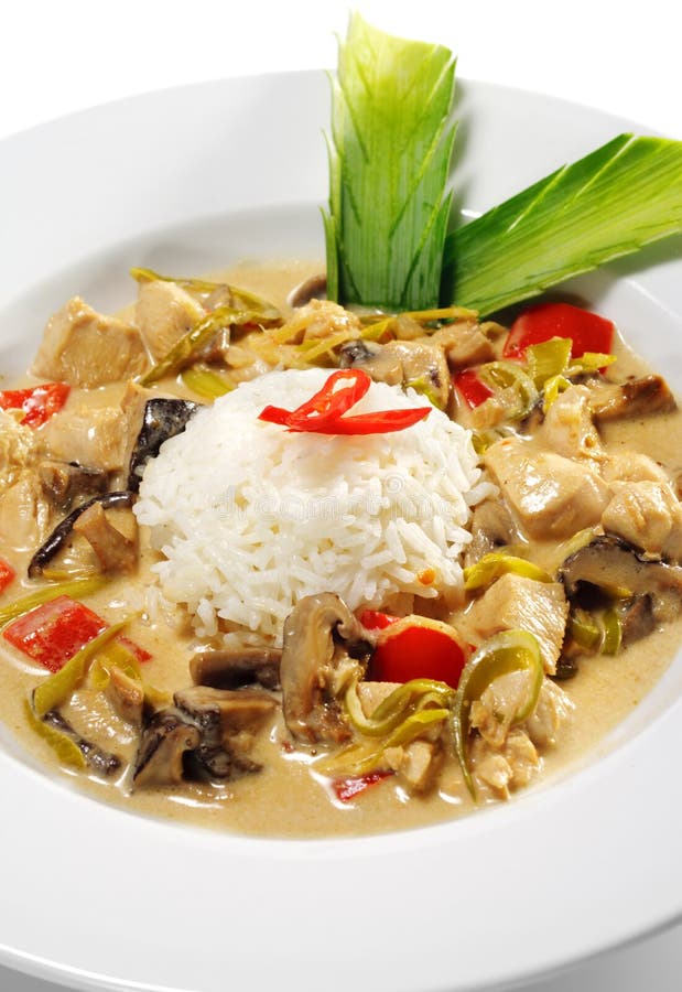 Braised Chicken Slice with Rice Heap Stock Image - Image of freshness ...