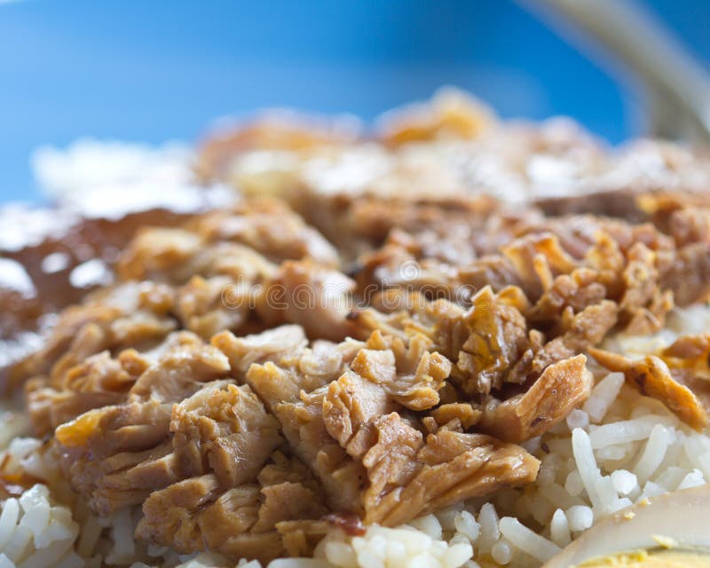 Braised pork rice stock photo. Image of greens, braised - 29223720