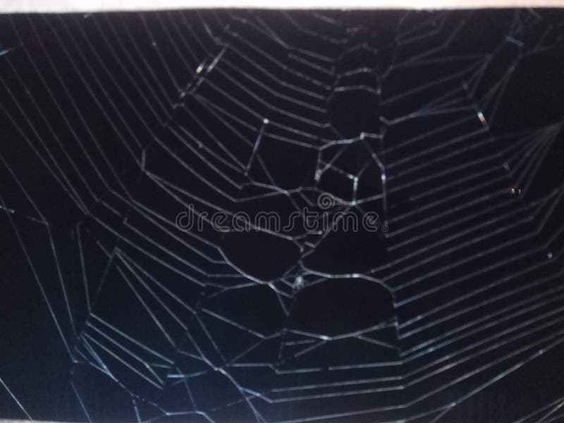 Brakodel spider stock photo. Image of geometry, drops - 179346266