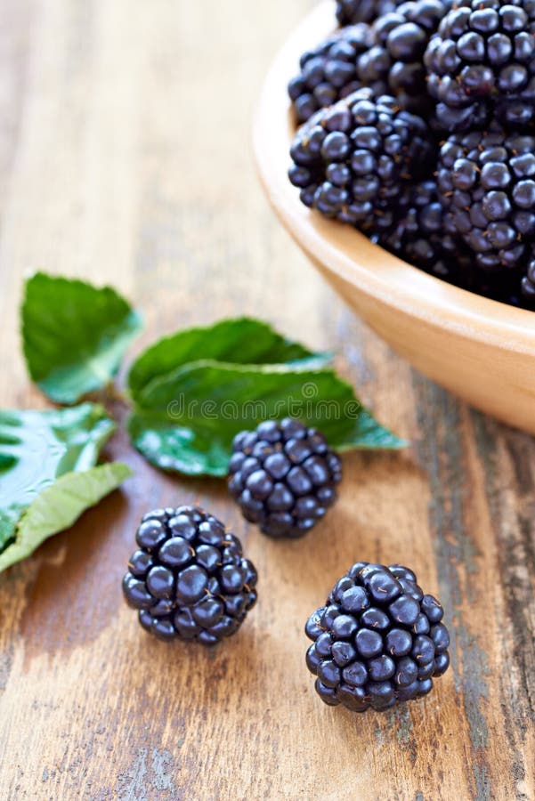 Bramble stock photo. Image of healthy, black, green, ingredient - 27981018