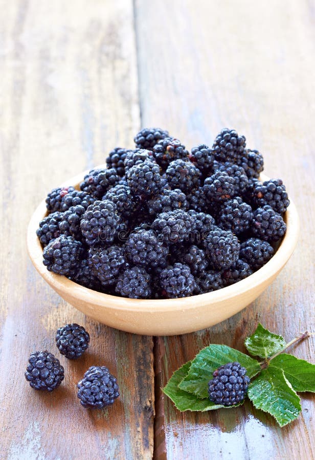 Bramble stock photo. Image of dewberry, delicious, dessert - 27983538