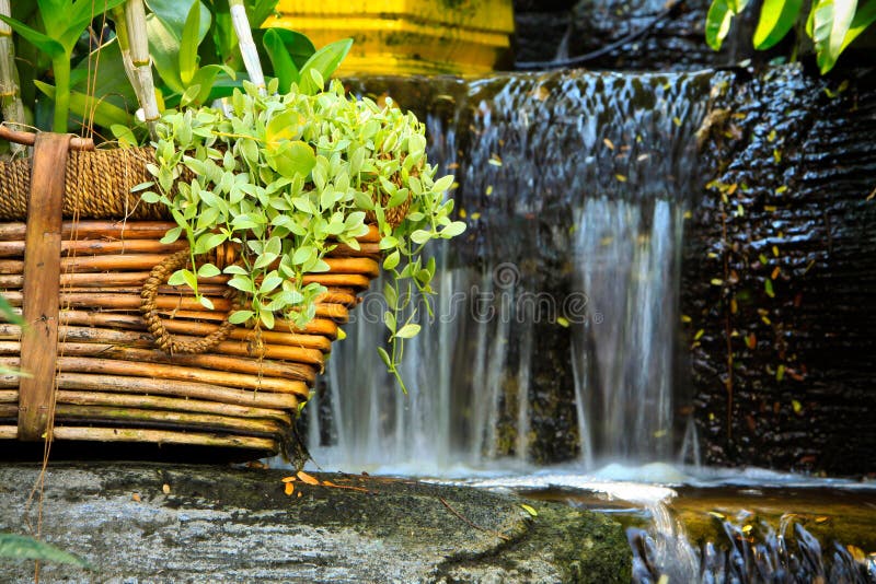 Bramble in Basket with Waterfall Stock Photo - Image of flowing, relax ...