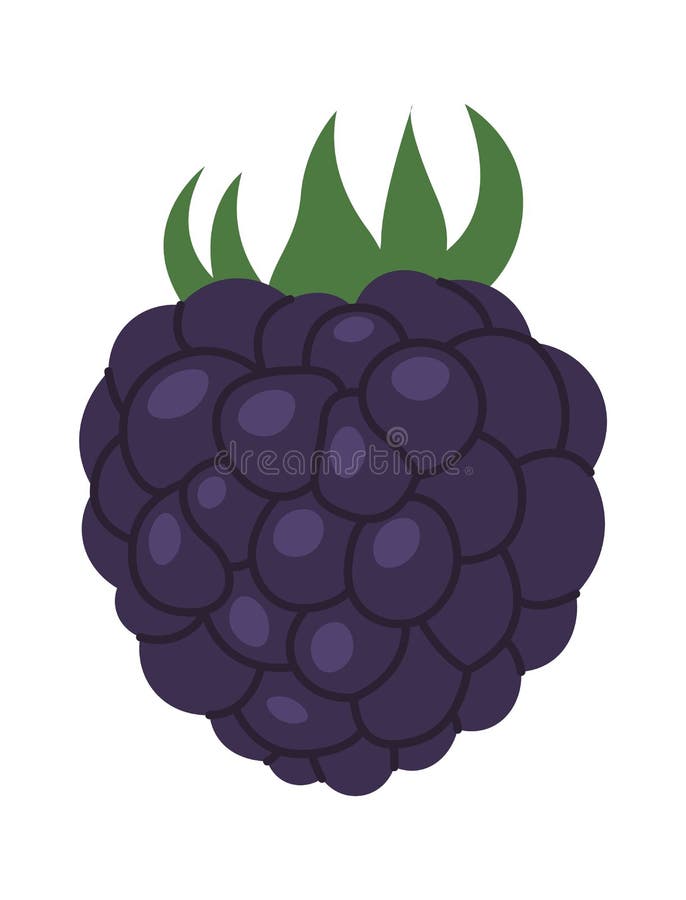 Bramble Berry Flat Icon Organic Vitamin Fruit Stock Vector ...