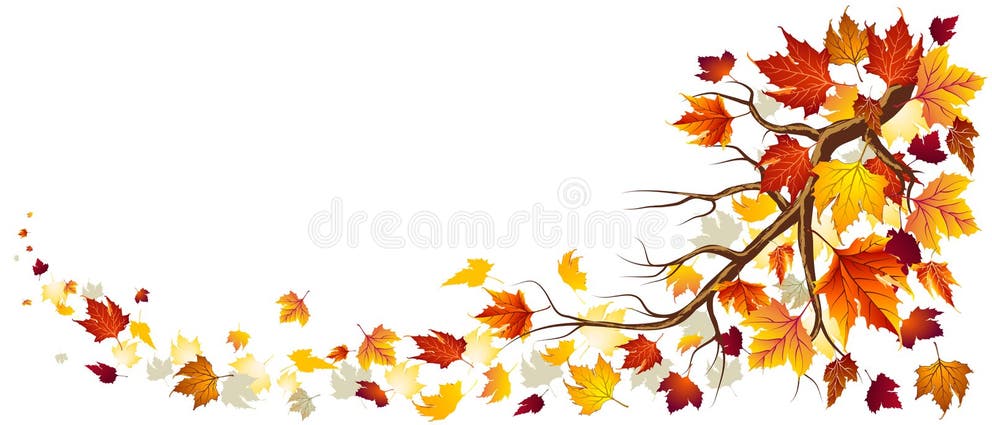 Branch with Autumn Leaves stock vector. Illustration of white - 75329080