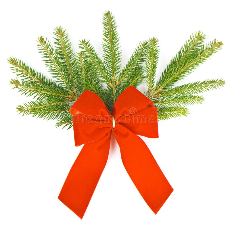 Branch of Christmas Tree with Red Ribbon Stock Photo - Image of present ...
