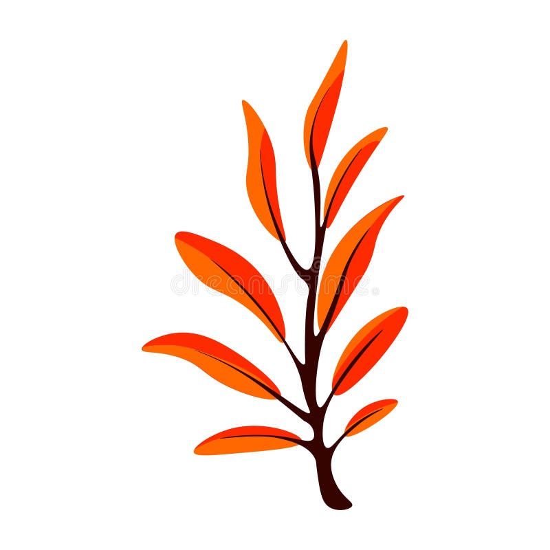 Branch with Orange Leaves on White Background Stock Vector ...