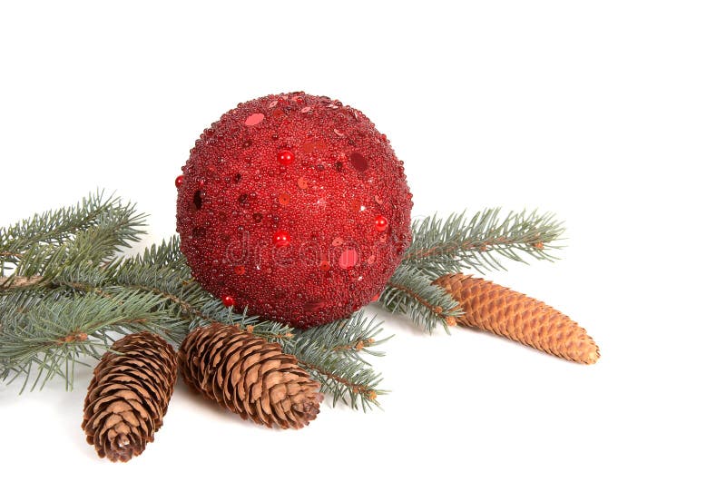 Branch of Fir Tree,ball and Cones. Stock Image - Image of pine ...
