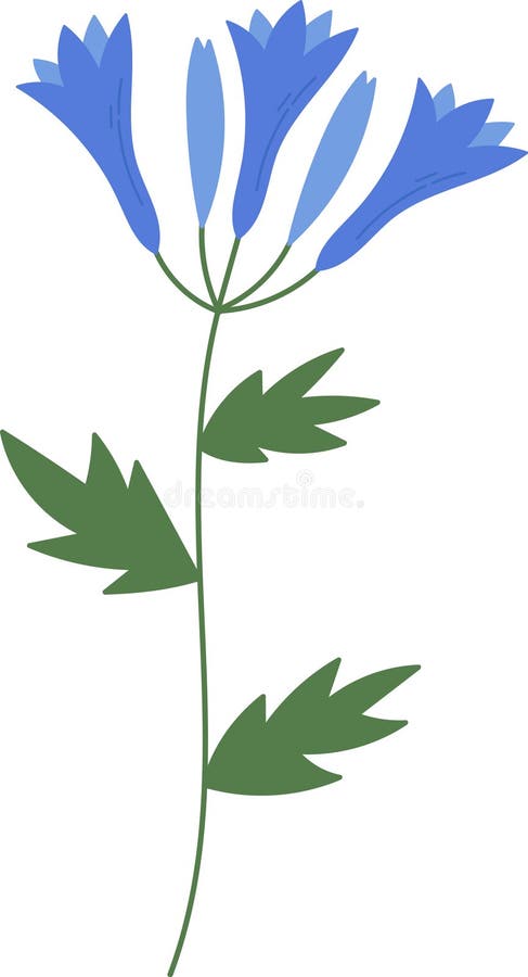 Branch with Flowers stock vector. Illustration of floral - 307821854