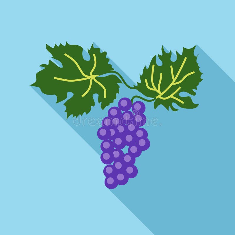 Branch of Grape with Leaves Icon, Flat Style Stock Illustration ... Branch of Grape with Leaves Icon, Flat Style Stock Illustration ...