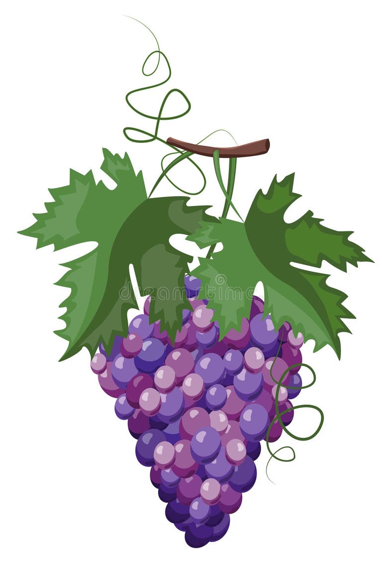 Cluster Branch Stock Illustrations – 40,386 Cluster Branch Stock ...