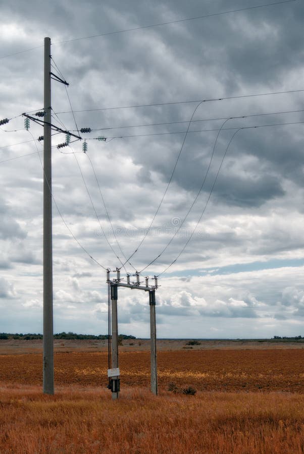 Branch on High-voltage Power Lines in Fields Stock Photo - Image of ...