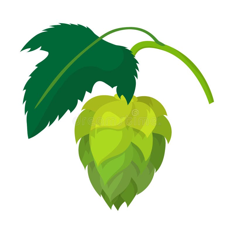 Branch of Hops Cartoon Icon Stock Vector - Illustration of herbal ...