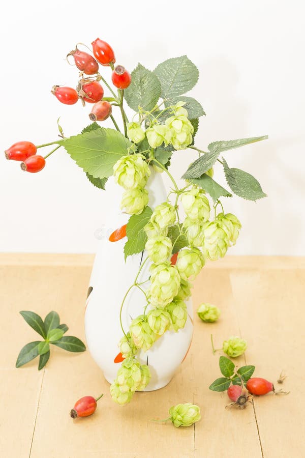 Branch of Hops and Red Dog Rose in a Vase Stock Image - Image of fall ...