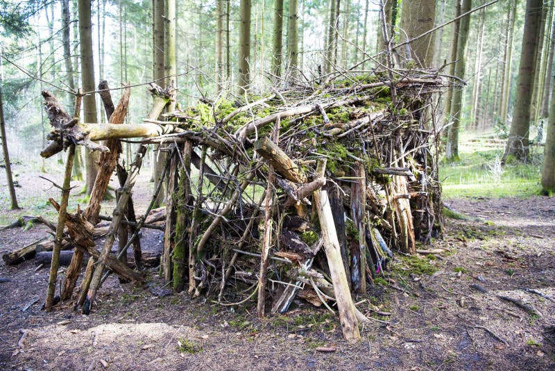 Branch hut in forest stock image. Image of shelter, outdoors - 87966621
