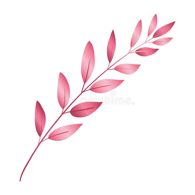 Branch with Leafs Pink Decorative Icon Stock Vector - Illustration of ...