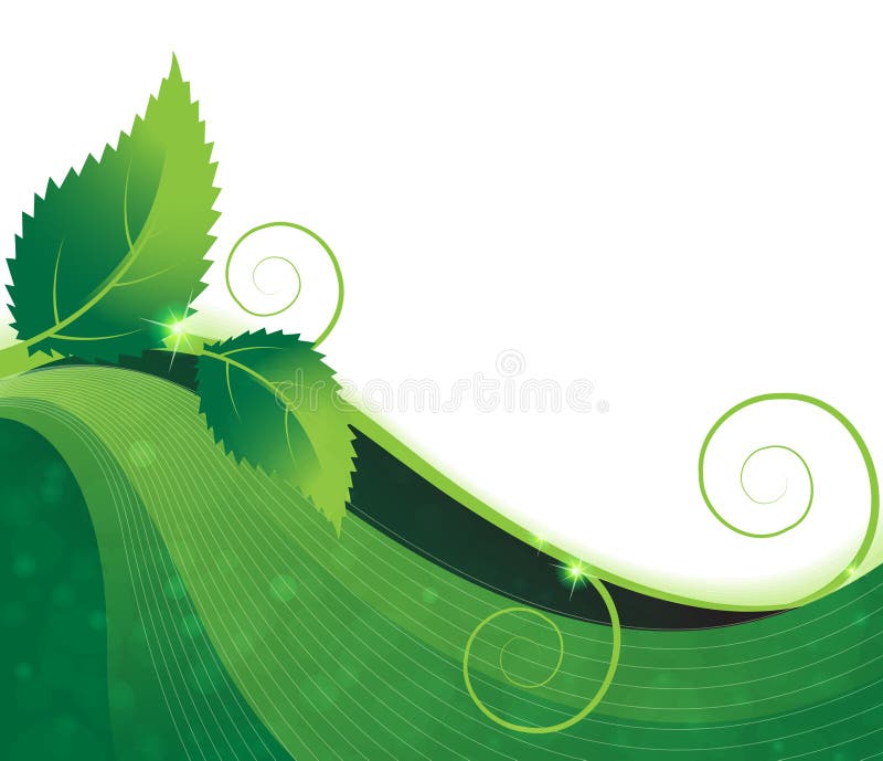 Branch with leaves stock vector. Illustration of scroll - 25692817