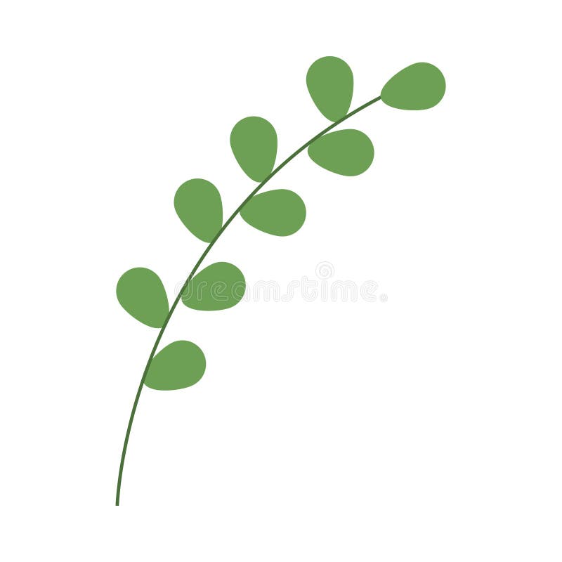 Branch leaves icon stock illustration. Illustration of garden - 242874808